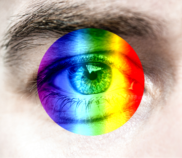 Wiley X CAPTIVATE - Wiley X | Geoff Anderson | Headbanger